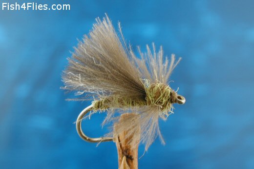 Olive CDC Adult Caddis Fly - Fishing Flies with Fish4Flies Worldwide